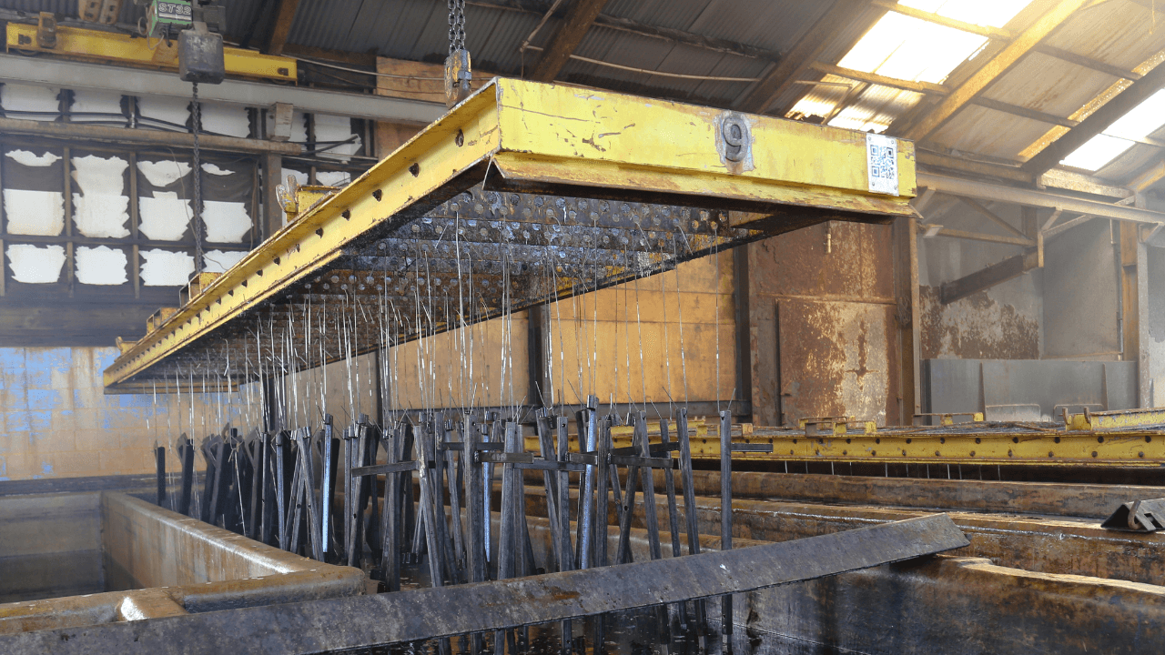 Articles - Galvanising Hawkes Bay