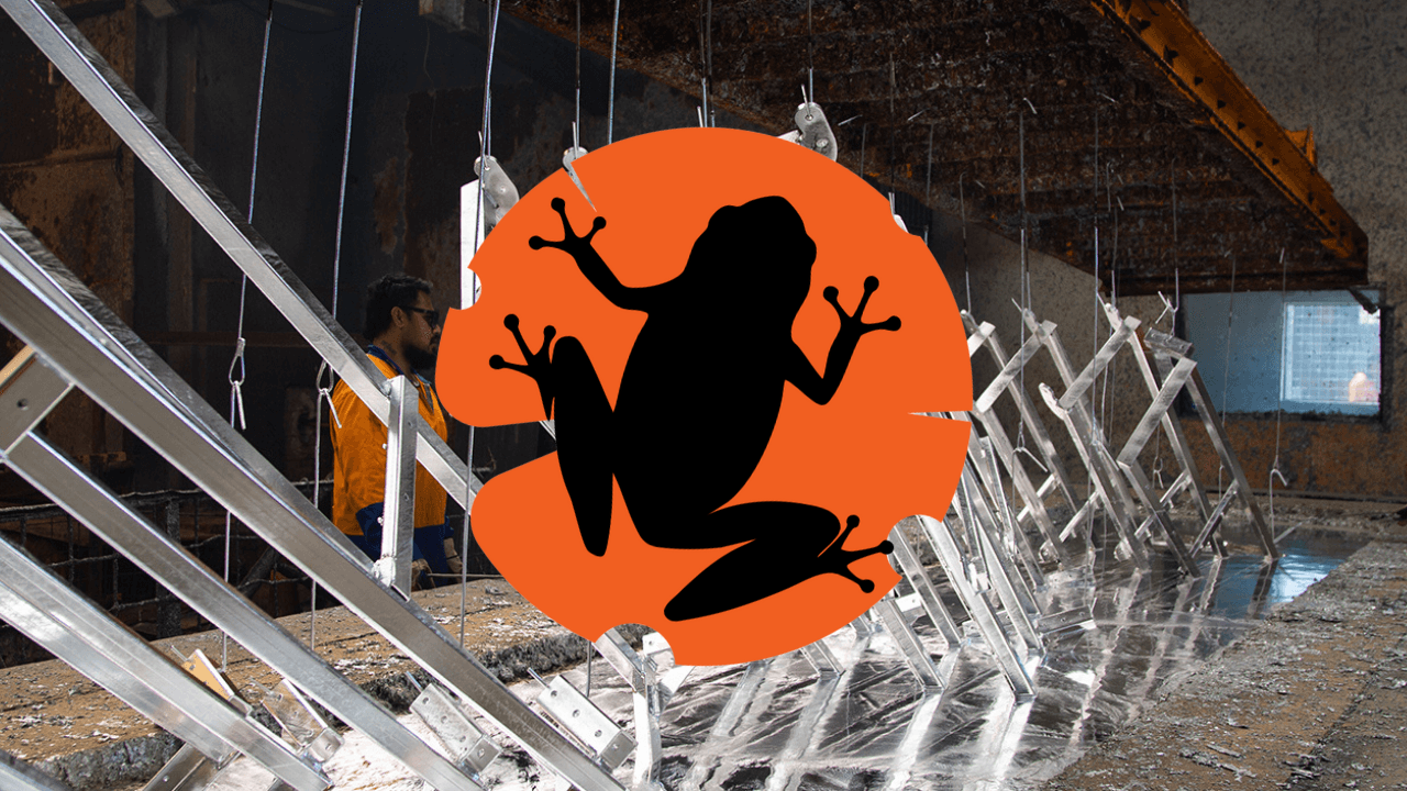 How A Twitching Frog’s Leg Sparked A Revolution In Galvanising ...